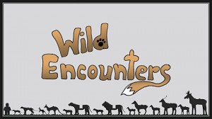 LEGO CUUSOO project: LEGO animals