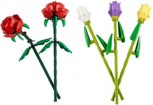 2021 LEGO Botanical Collection Coming Soon!